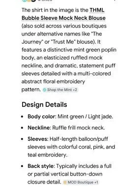 THML | Tops | Thml S Mint Green Bubble Sleeve Mock Neck Blouse ...